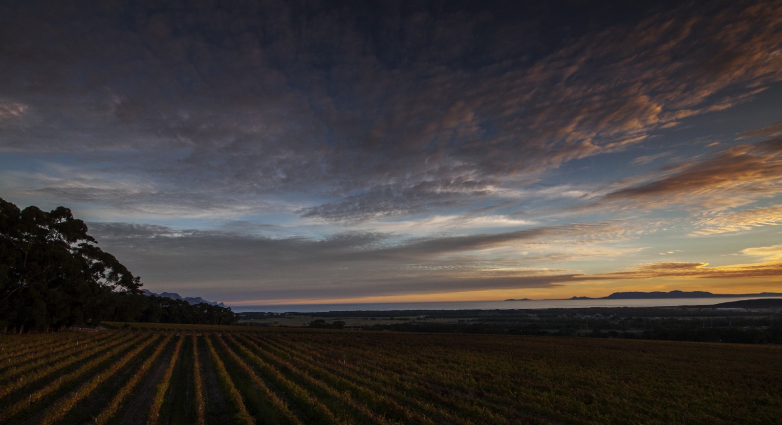 The Cape of Sunsets - Bryn De Kocks